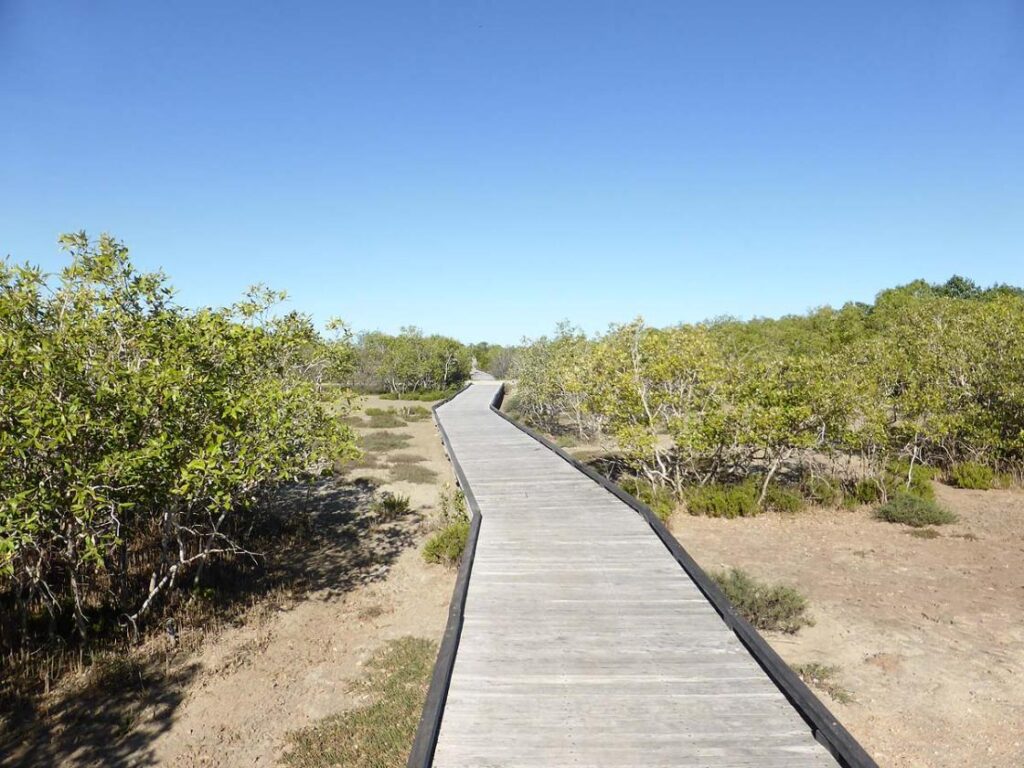 Key Attractions Karumba